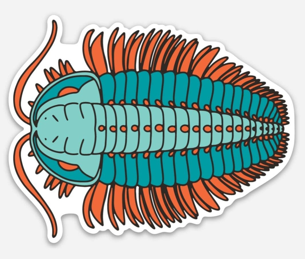 Field Guide Designs | Space Camp