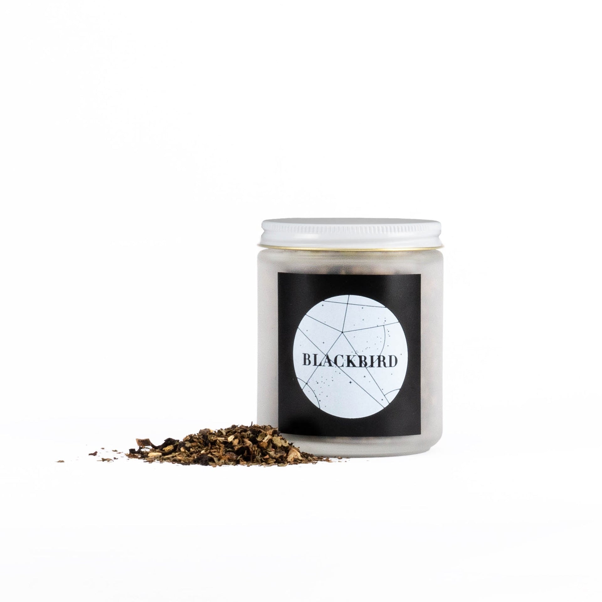 BLACKBIRD | Space Camp